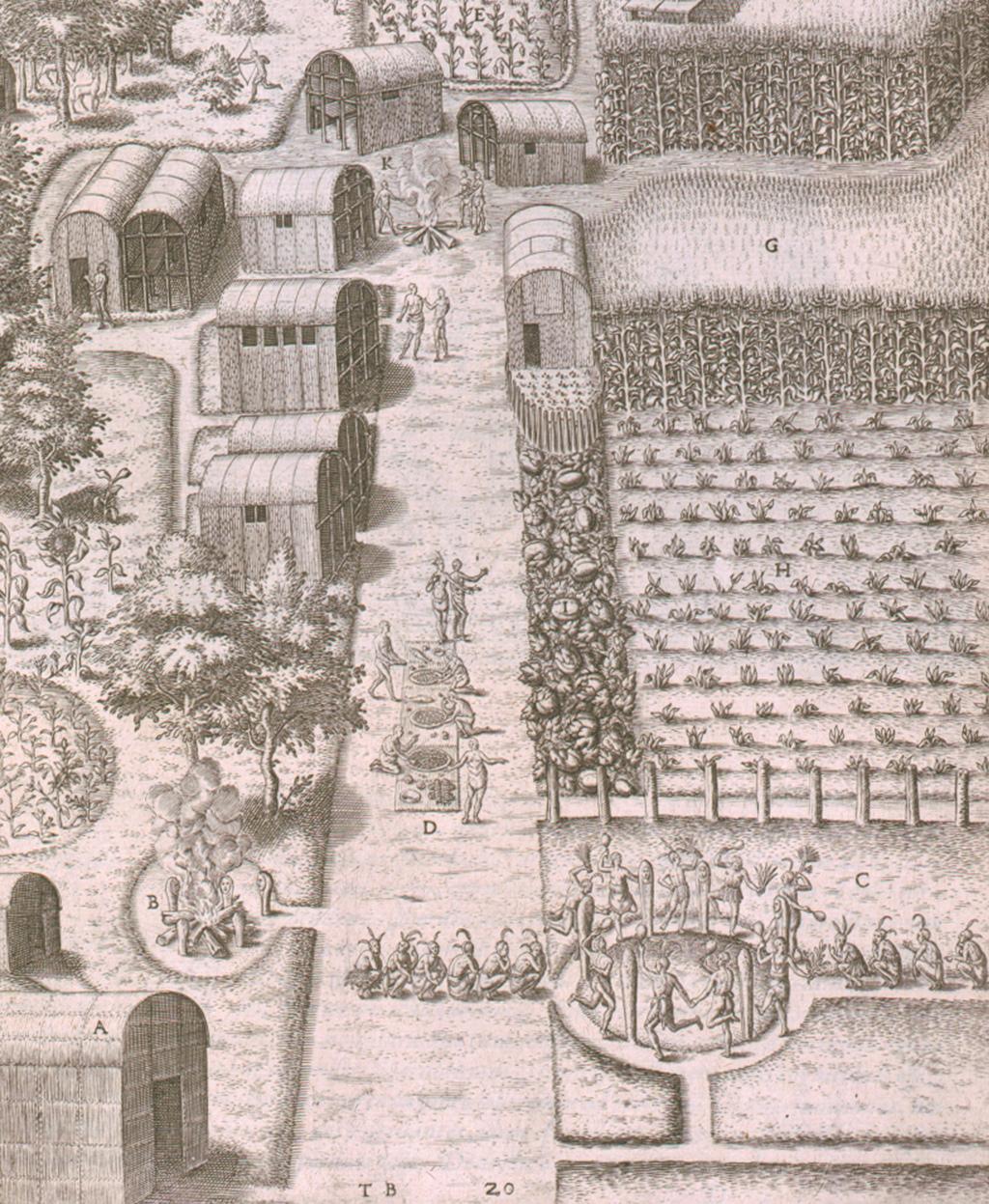 Algonquians & Iroquois: Agricultural Innovators of New York